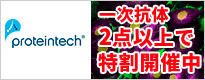 Numacut™ TEVプロテアーゼ | ターゲットタンパク質の末端配列に依存せずに切断可能！ | コスモ・バイオ株式会社