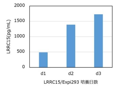 ヒトLRRC15 ELISAキット | ヒトLRRC15（leucine-rich repeat-containing protein 15 ...