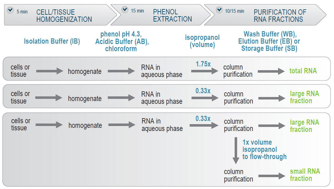 SPLIT RNA Extraction Kit | スピンカラムタイプのRNA-Seq用RNA抽出キット | コスモ・バイオ株式会社