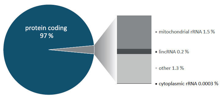 Poly(A) RNA Selection Kit | コスモ・バイオ株式会社