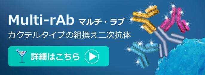 Multi-rAb（マルチ・ラブ）二次抗体 | カクテルタイプの抗ウサギIgG／マウスIgGリコンビナント抗体 | コスモ・バイオ株式会社