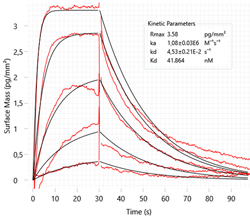 2 bind社 Biophysics解析サービス 結合評価や安定性等のタンパク質アッセイトータルソリューション | 結合評価や安定性等のタンパク質アッセイトータルソリューション | コスモ ...